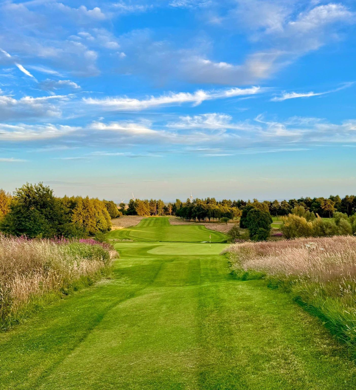 Golf Environment Awards 2025: Celebrating Sustainable Innovation in ...